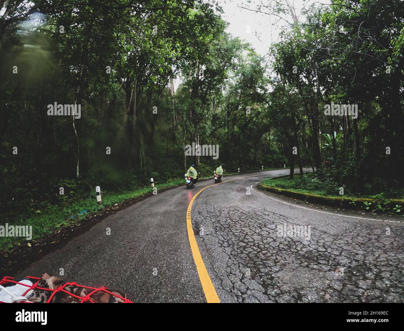 View while riding a motorcycle on a mountain road in the rainforest in ...