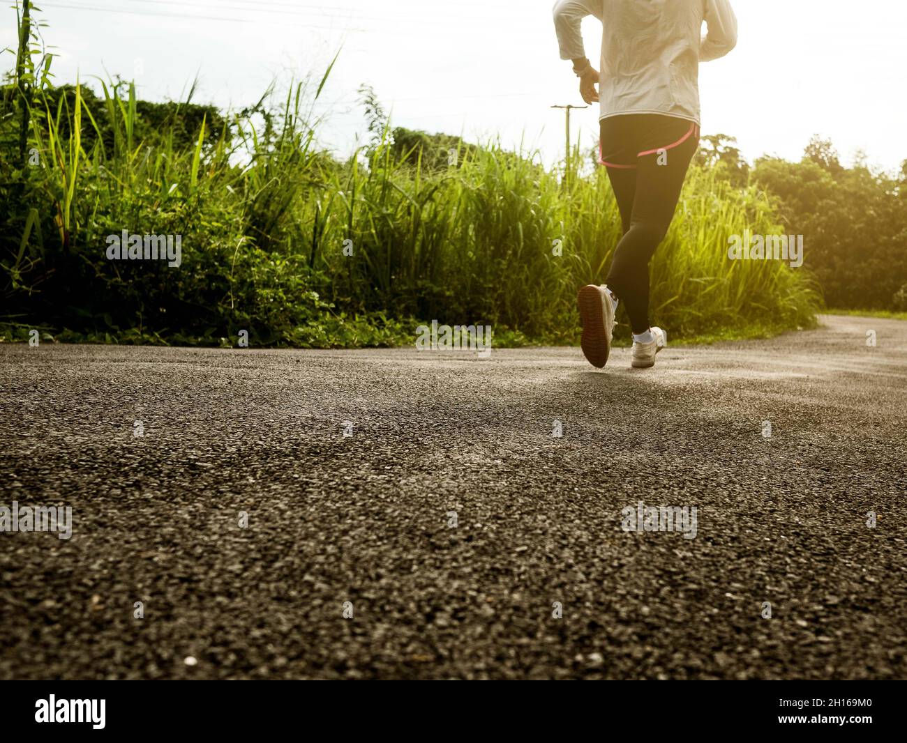 Female runners running on the road trail in morning training for ...