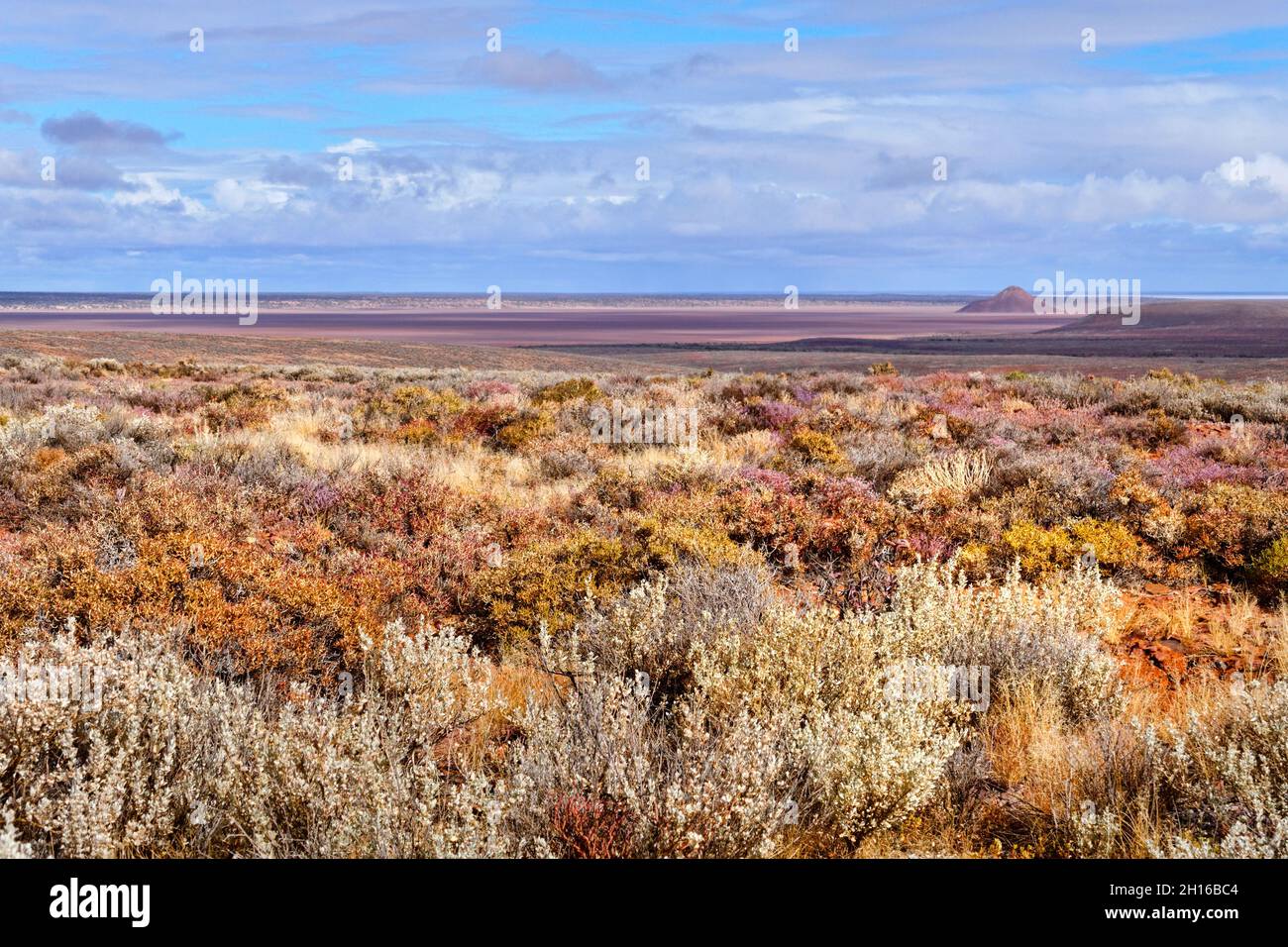 Australian outback landscape near Lake Gairdner, South Australia Stock ...