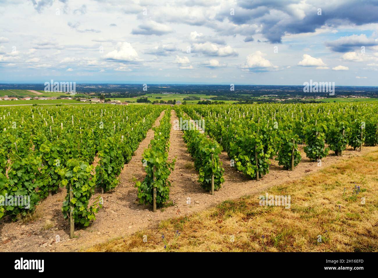Vineyards of Fleurie Village, Beaujolais, France Stock Photo - Alamy