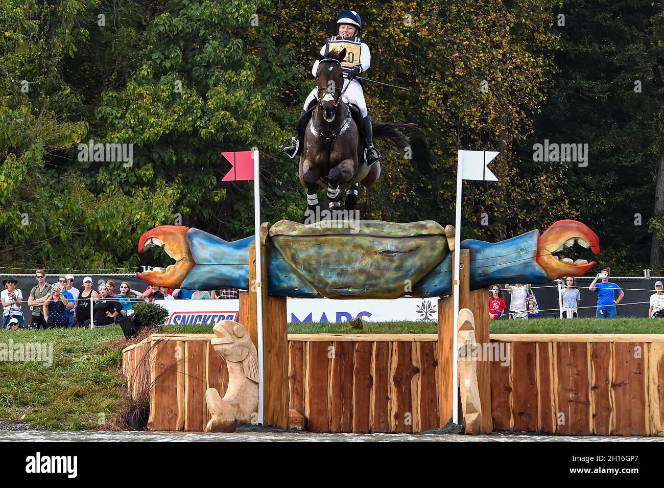 Fair Hill, MD, USA. 16th Oct, 2021. October 16, 2021: Hawley Bennett ...