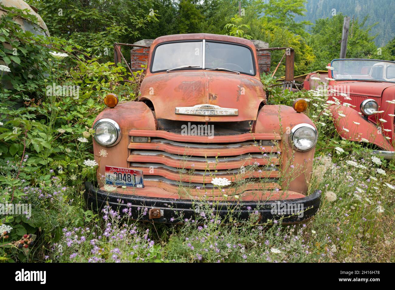 1948 Chevy Truck