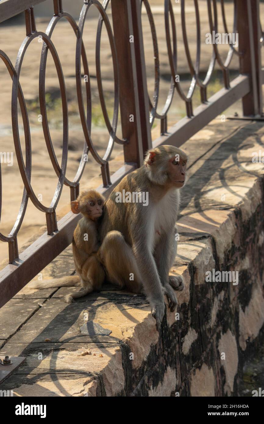 Rajdari devdari waterfall hi-res stock photography and images - Alamy