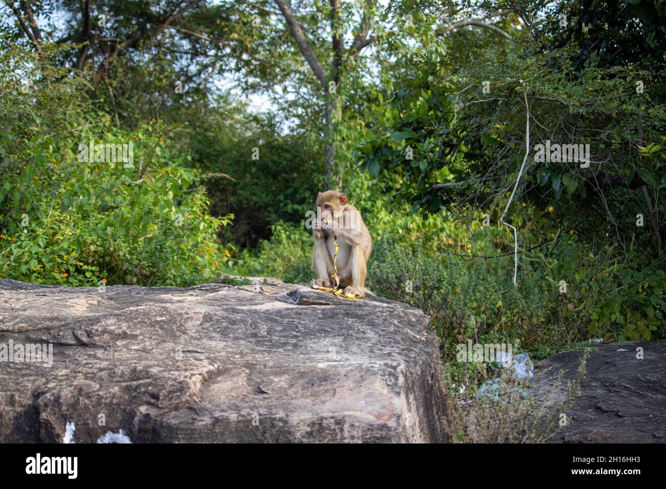 Devdari rajdari waterfall hi-res stock photography and images - Alamy