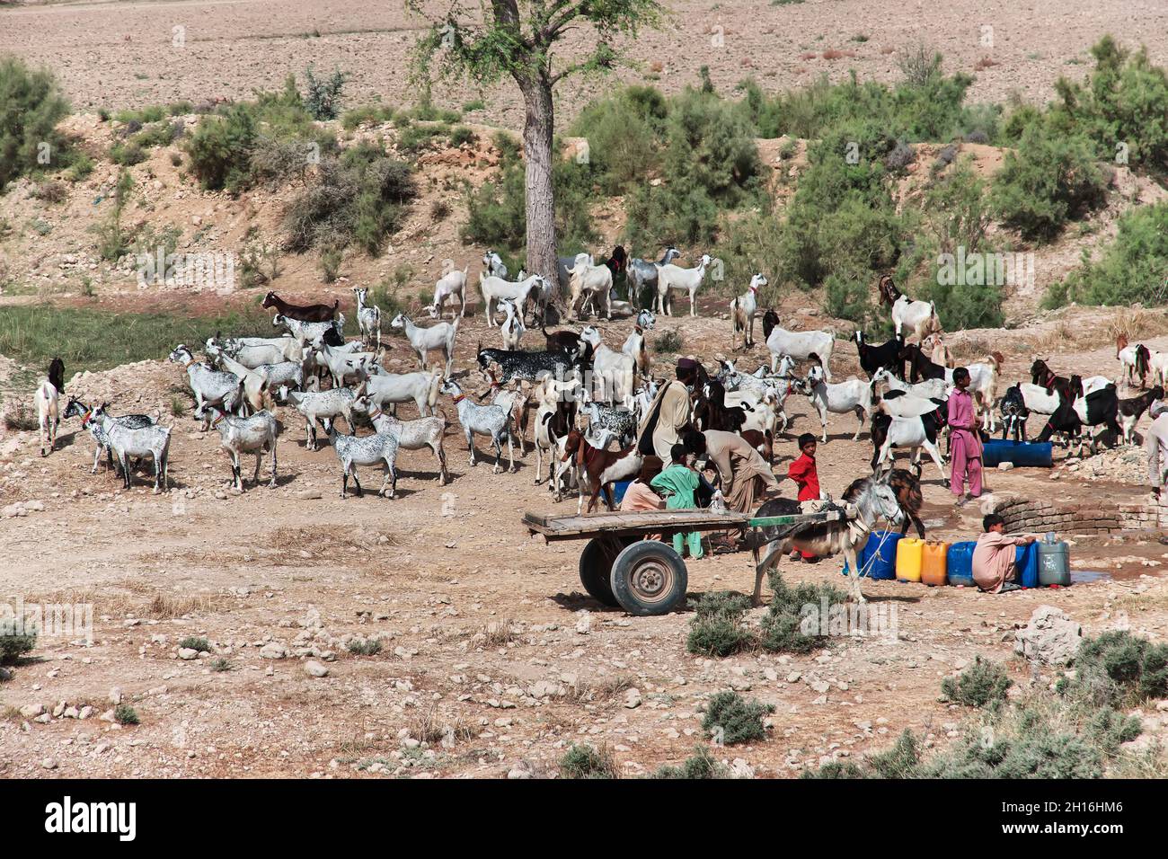 The well in the oasis, the desert of Pakistan Stock Photo - Alamy