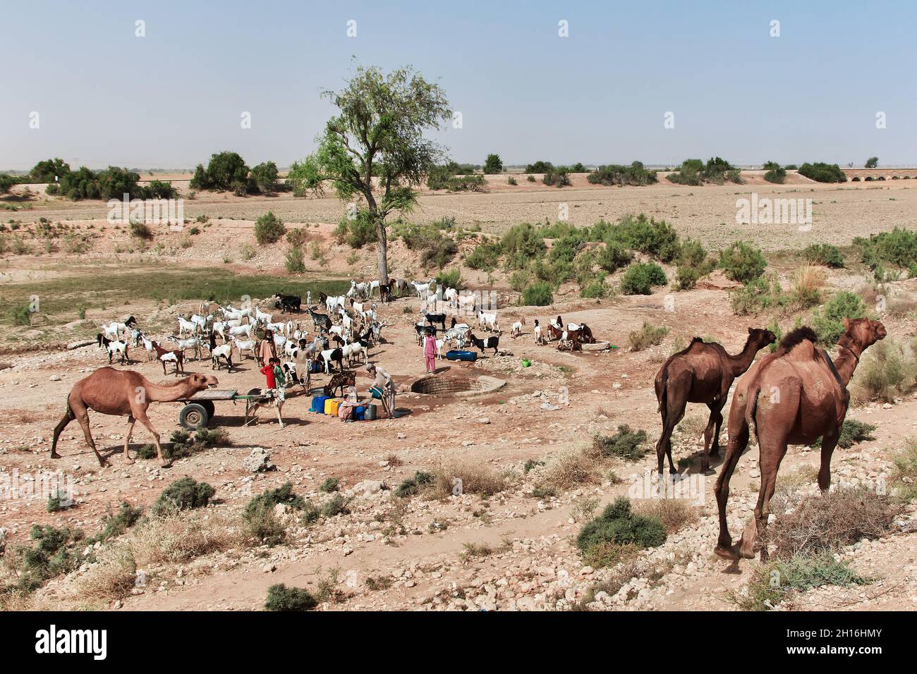 The well in the oasis, the desert of Pakistan Stock Photo - Alamy