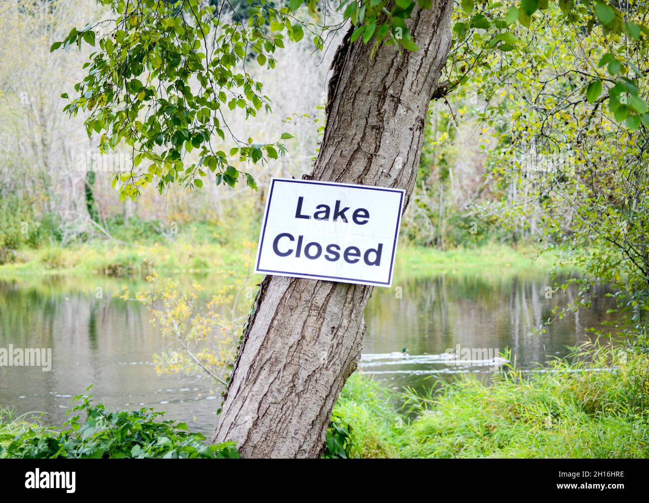 Lake closed sign posted on a tree at the park Stock Photo - Alamy
