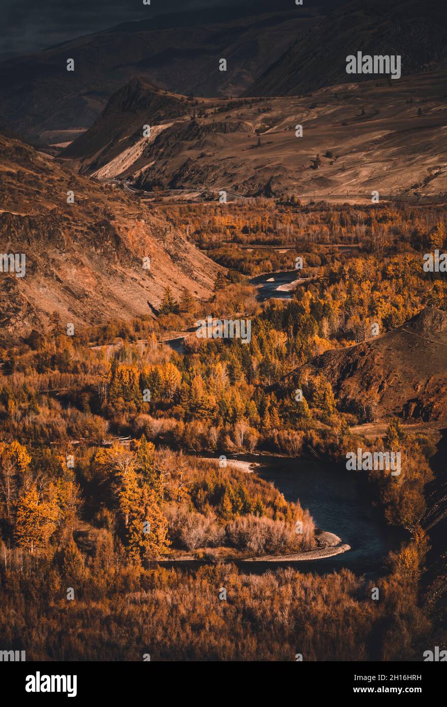 Altai mountain range hi-res stock photography and images - Alamy