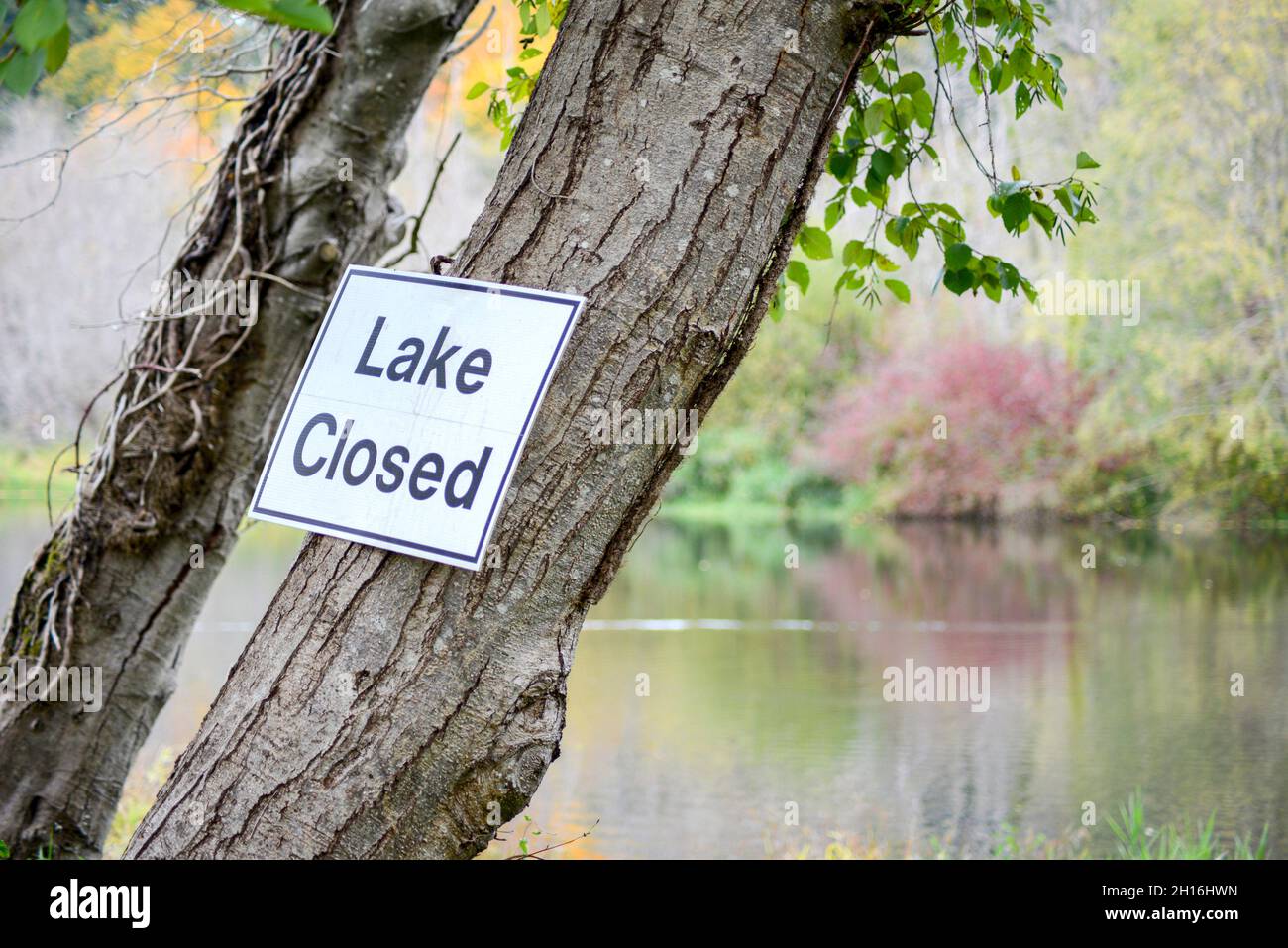Lake closed sign posted on a tree at the park Stock Photo - Alamy