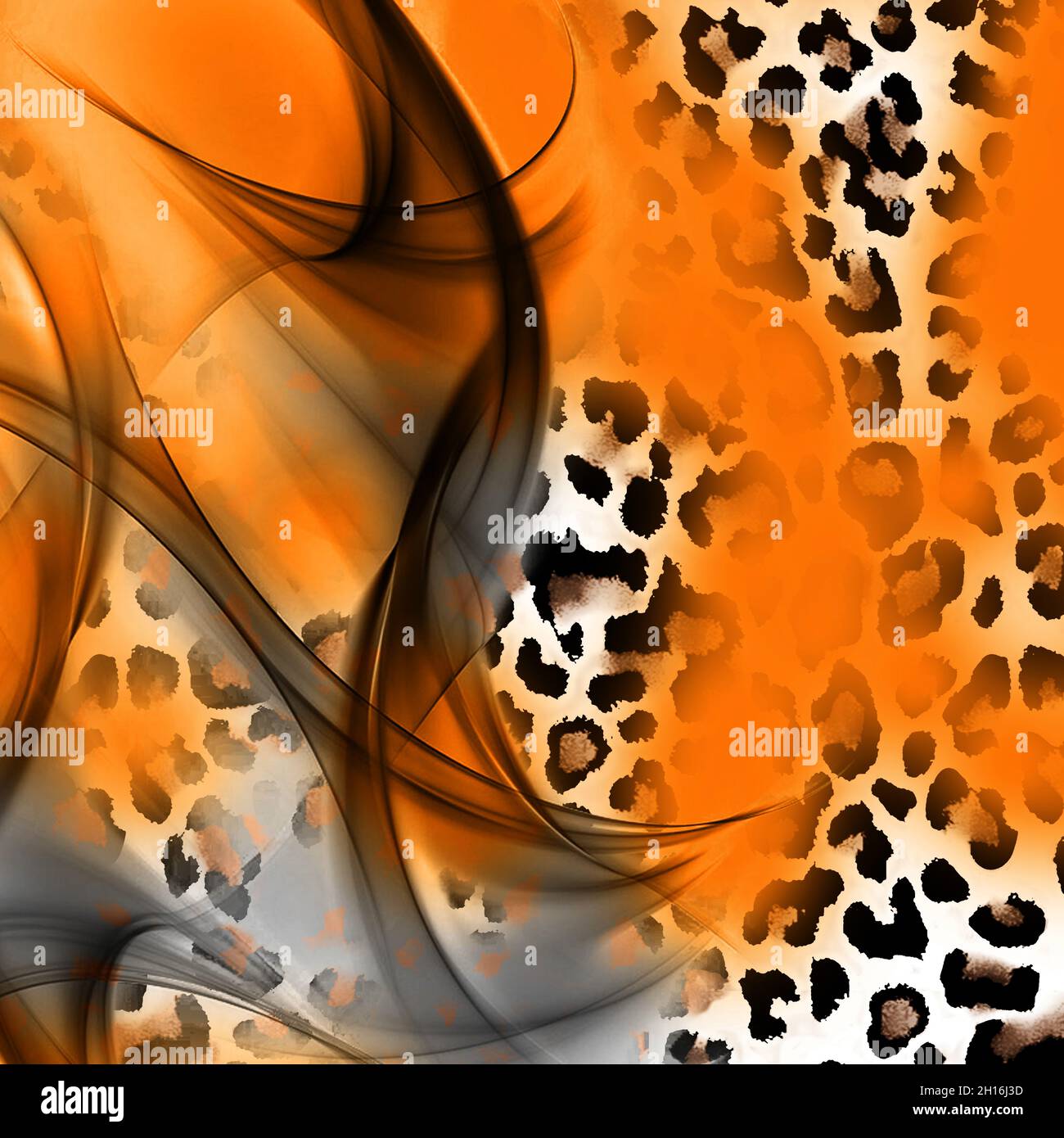 Colorful Pattern Study, Leopard, Zebra, Camouflage and Dress Designs ...