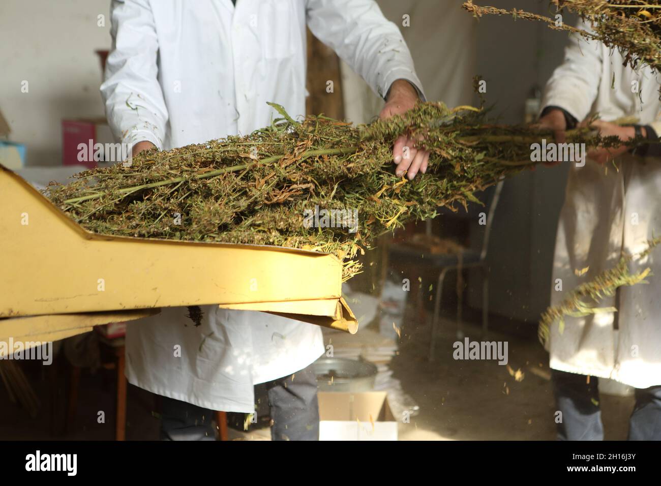 Close up braiding process hi-res stock photography and images - Alamy