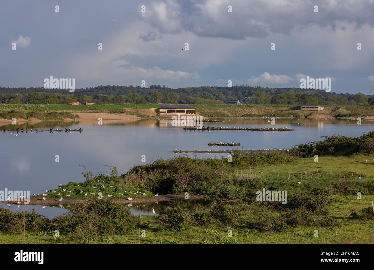 Lago norfolk hi-res stock photography and images - Alamy
