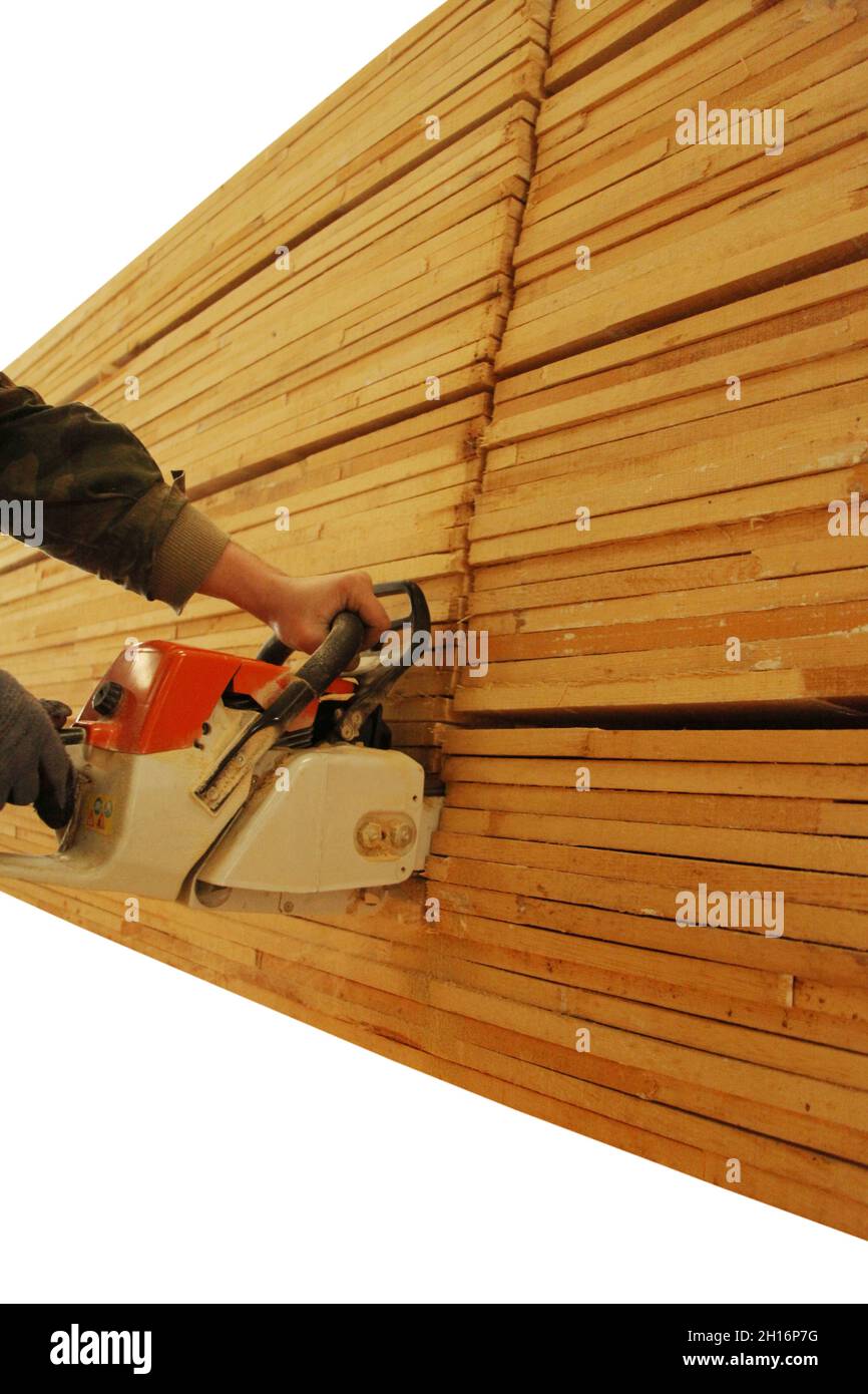 Worker cutting timber with saw in workshop Stock Photo - Alamy