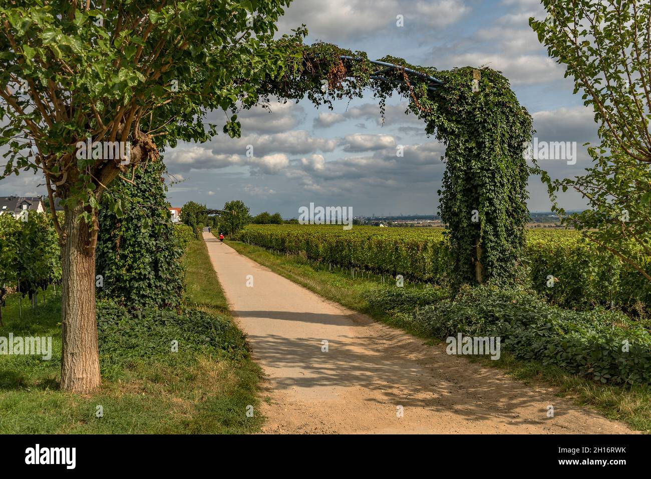 Rhein main plain hi-res stock photography and images - Alamy