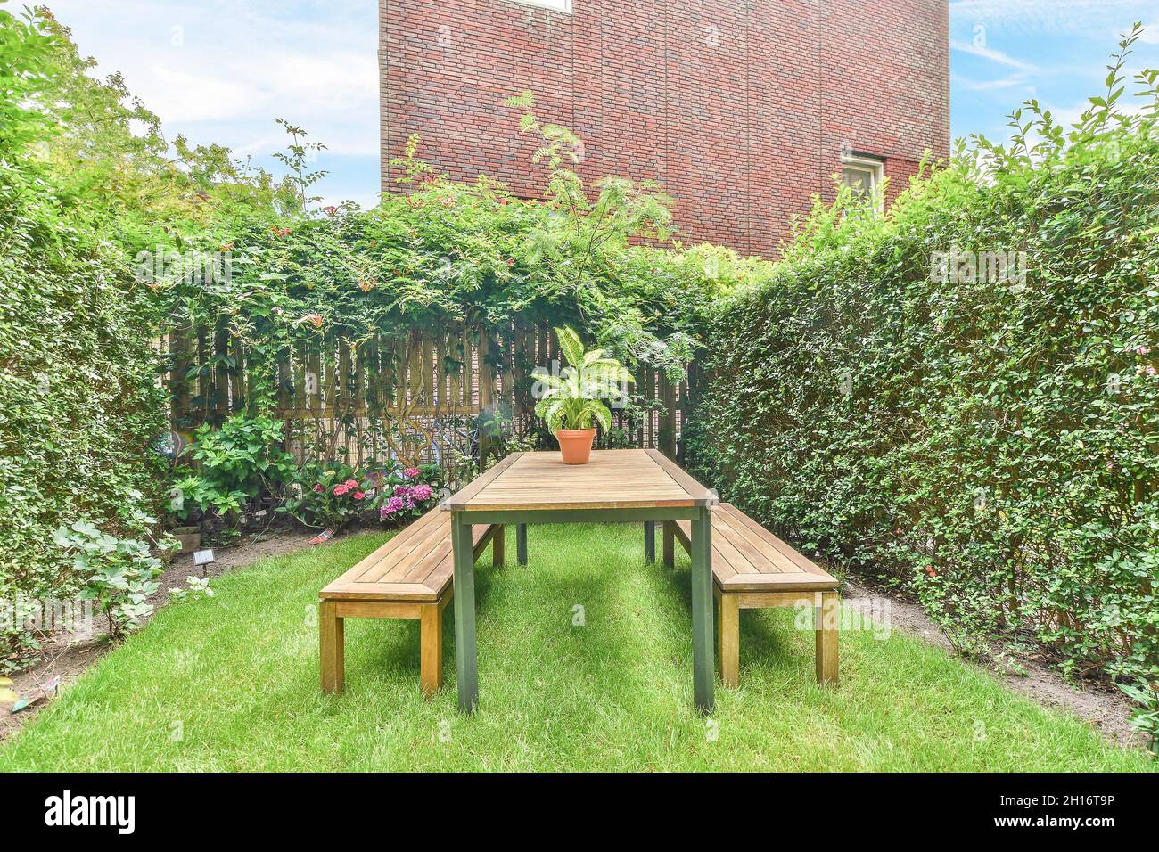 Wooden table and benches placed on grassy lawn near lush green plants ...