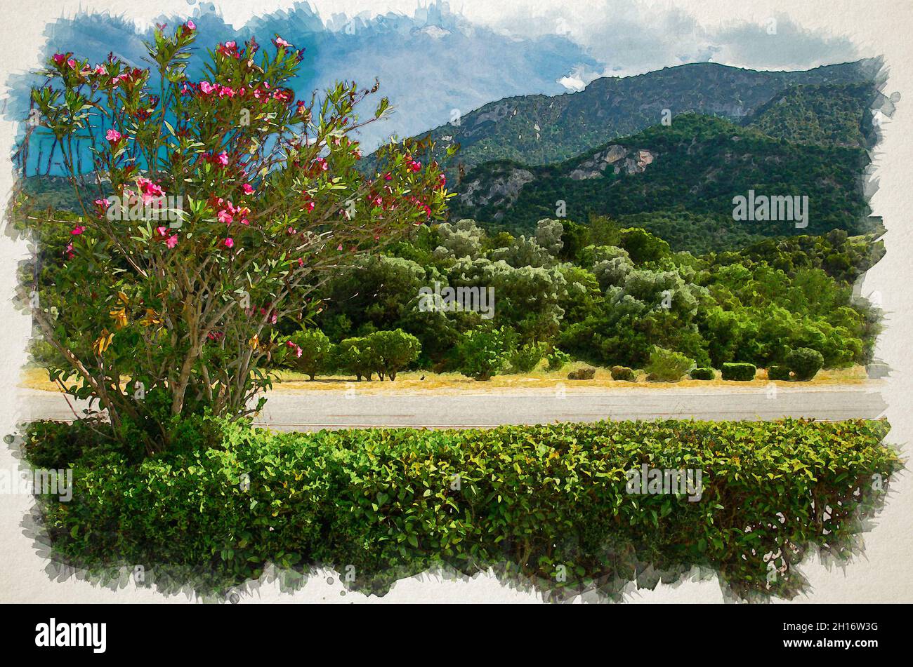 Greek flowers drawing hi-res stock photography and images - Alamy