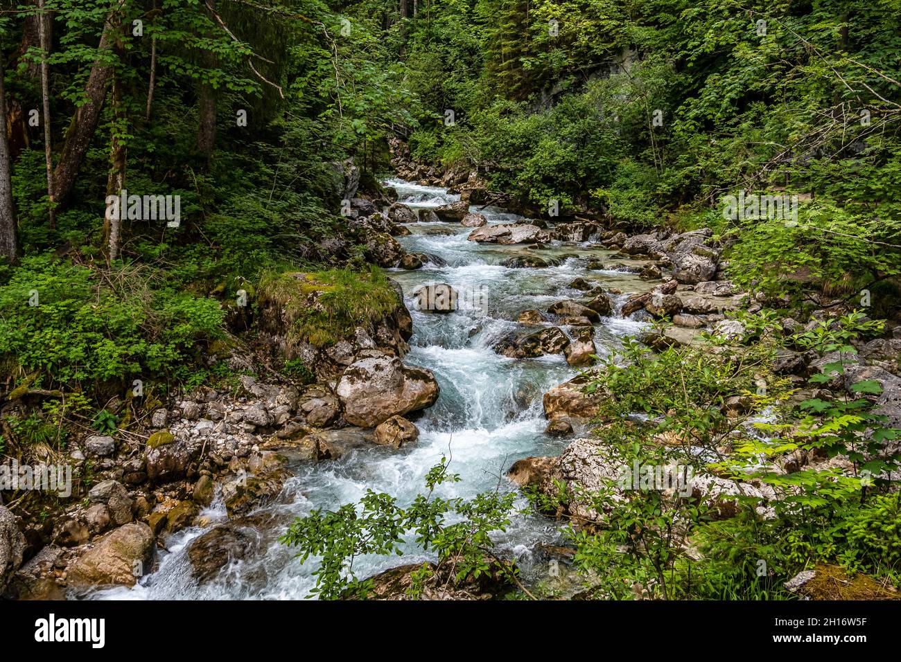 Magic Forest Zauberwald at Lake Hintersee with Creek Ramsauer Ache ...