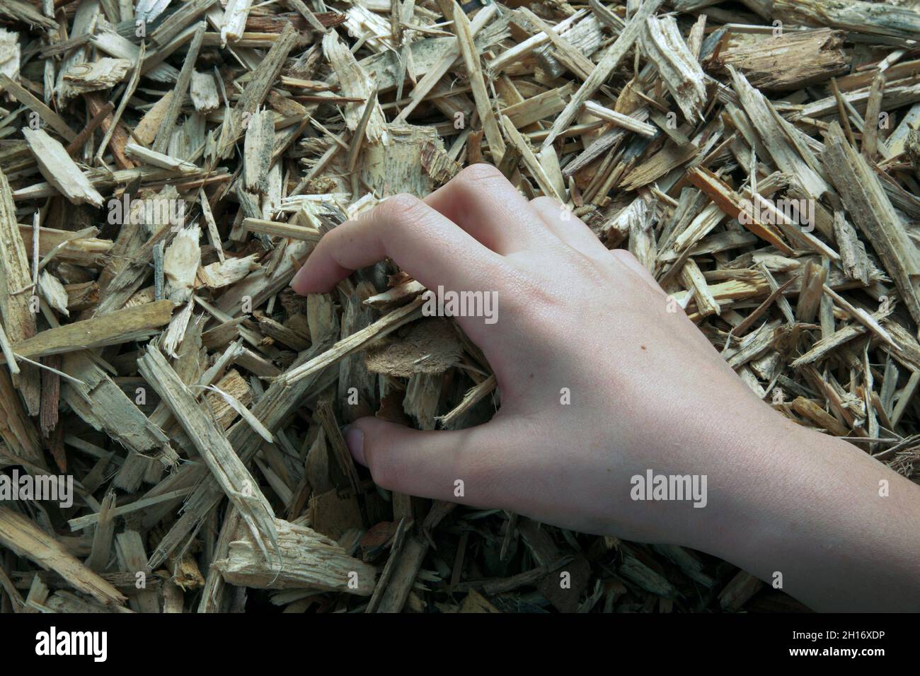wood chips to generate heat Stock Photo - Alamy