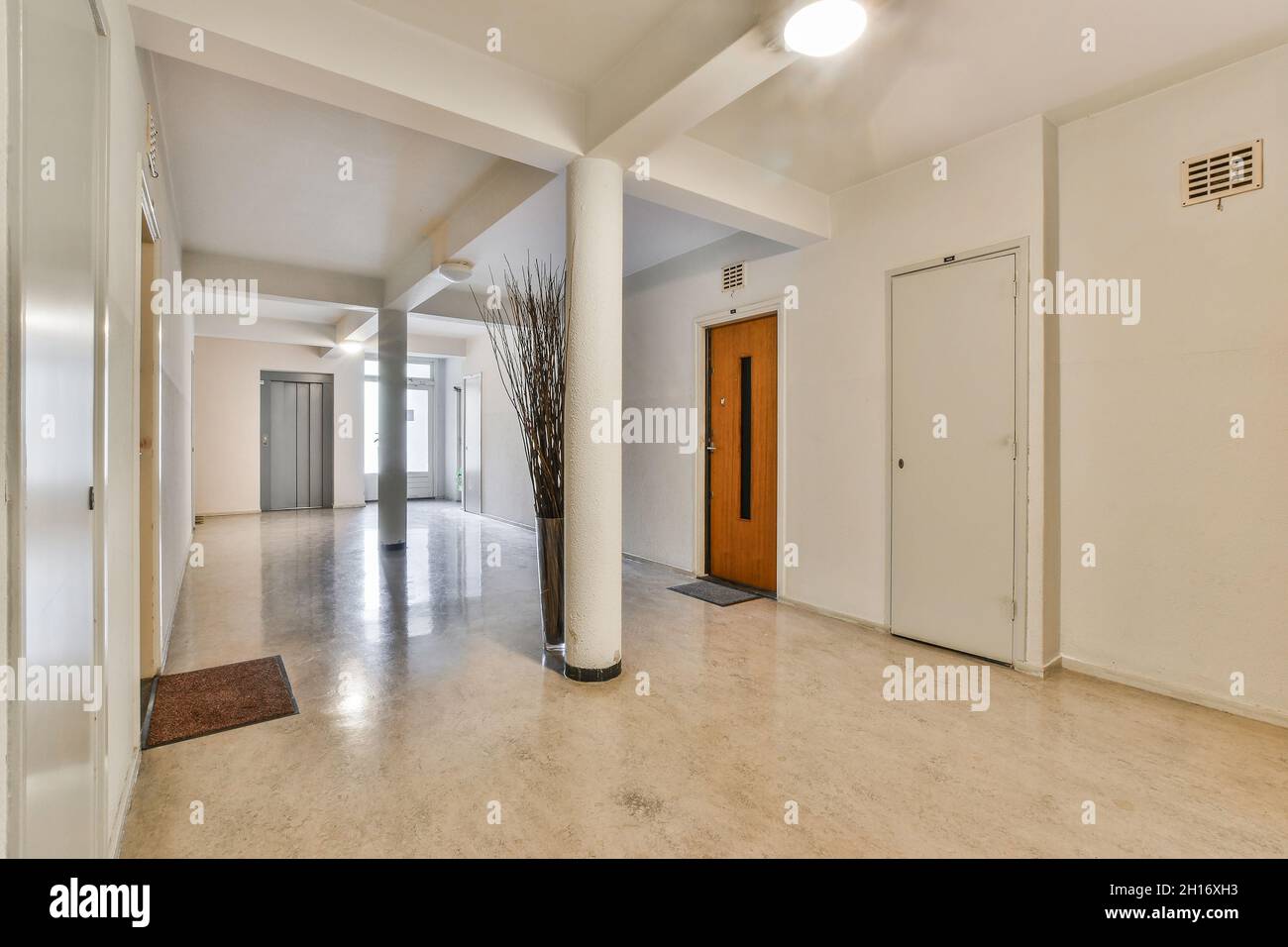 Contemporary corridor interior with carpet on floor and pillars with ...