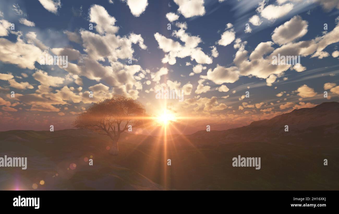 sunset at meadow and lonely tree, 3d render illustration Stock Photo ...