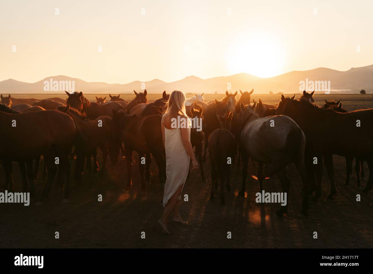 Anonymous lady horse hi-res stock photography and images - Alamy