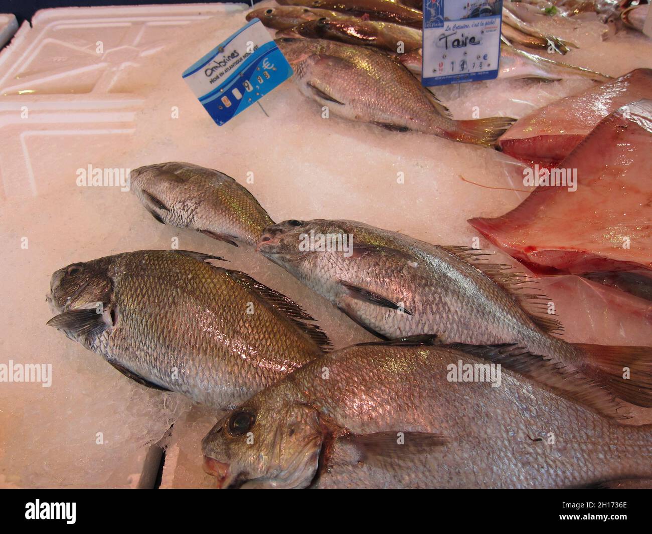 Jonzac france hi-res stock photography and images - Alamy
