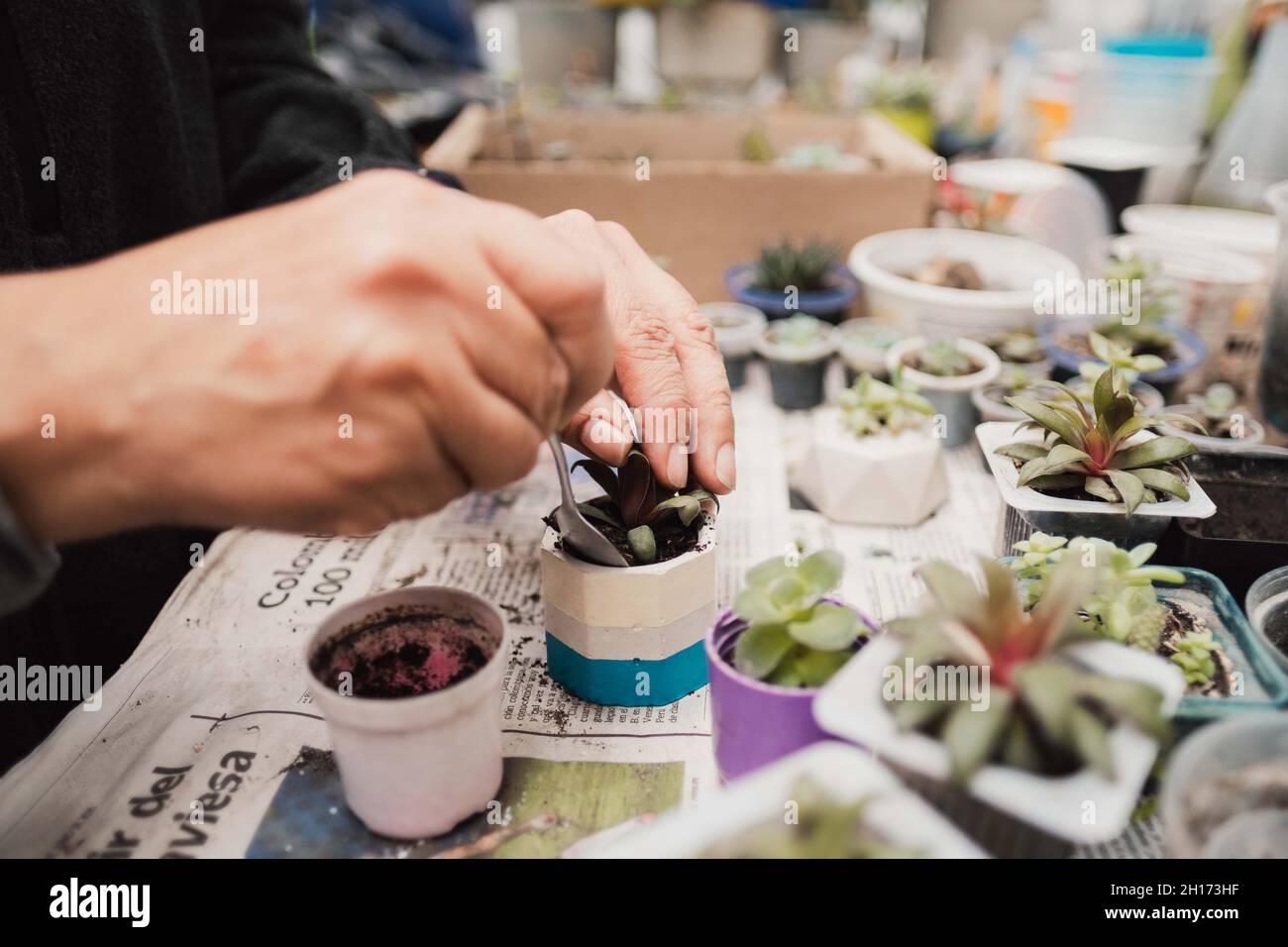 Adding soil hi-res stock photography and images - Alamy