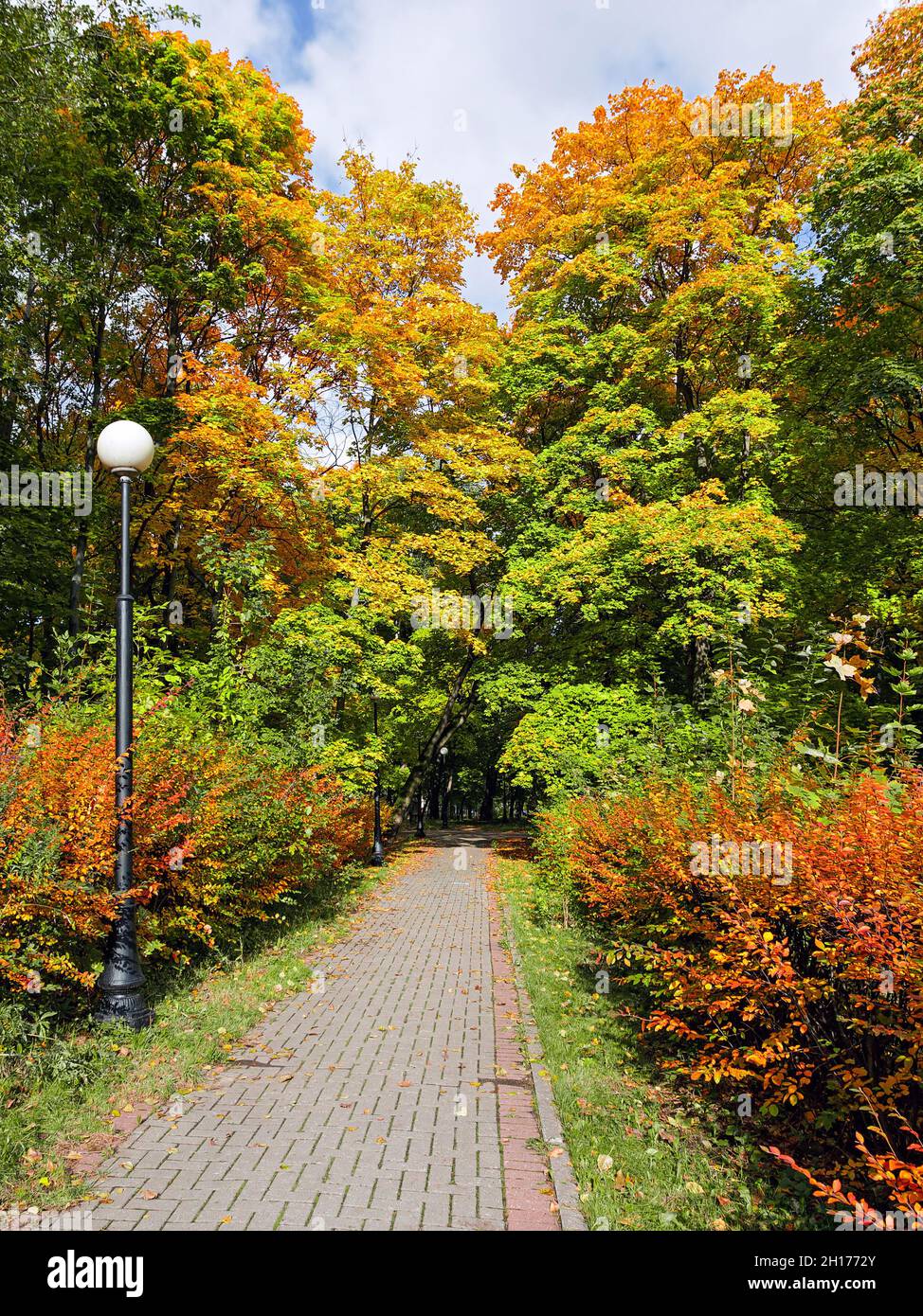 Walkway in the autumn park. Sunlight illuminates the walking path ...