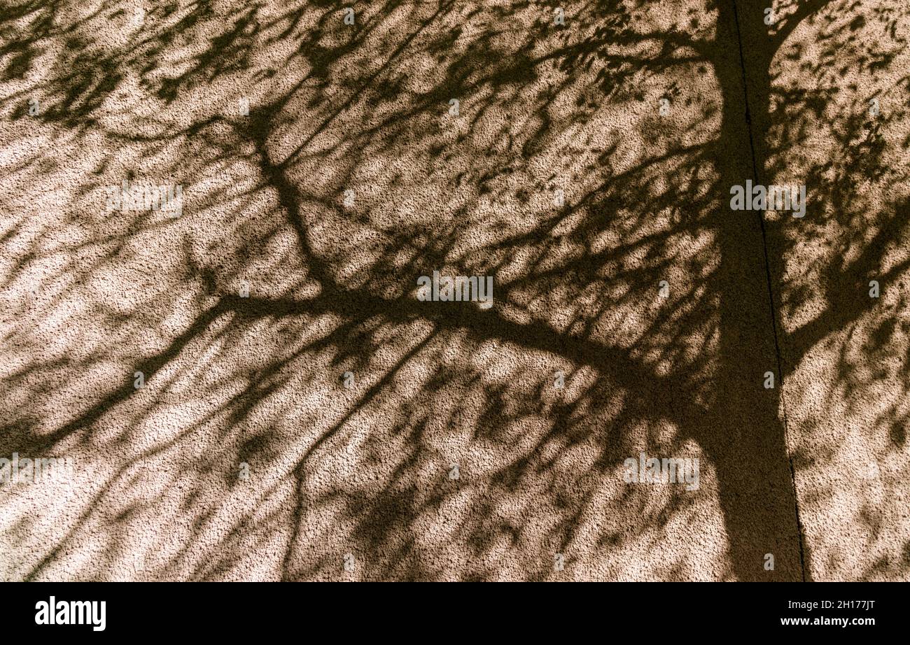 Reflect from your shadow hi-res stock photography and images - Alamy