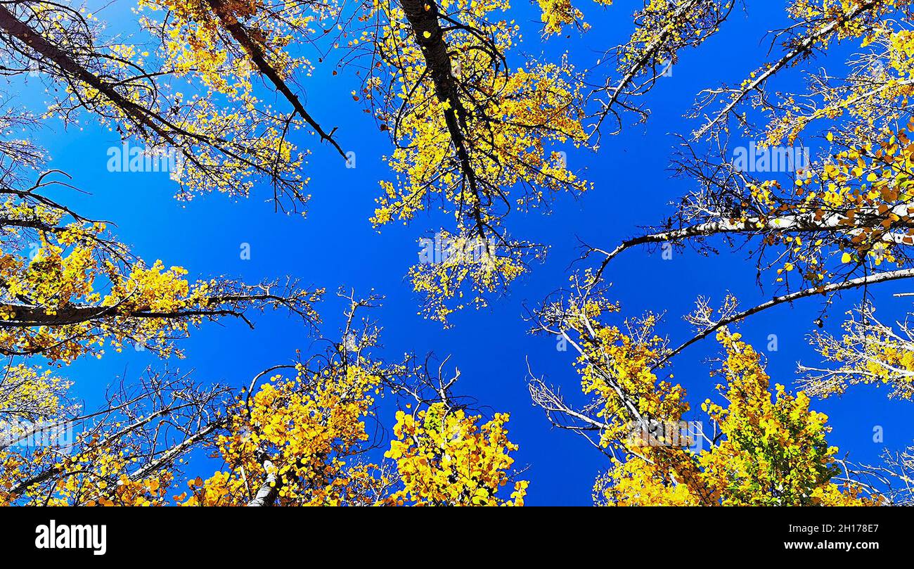 Lhasa, China's Tibet Autonomous Region. 16th Oct, 2021. Photo taken ...