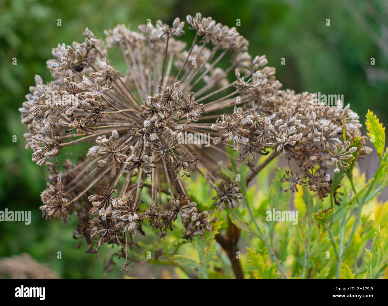 Landscape aspect hi-res stock photography and images - Alamy