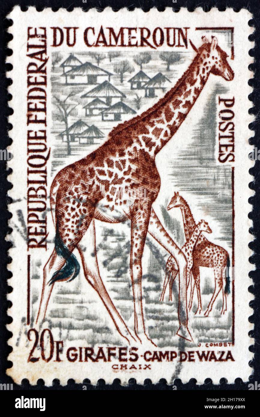 CAMEROON - CIRCA 1977: a stamp printed in Cameroon shows Giraffe ...