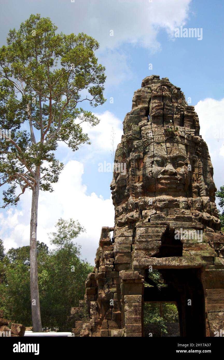 Tree roots and Ancient ruins antique building Prasat Ta Prohm or ...