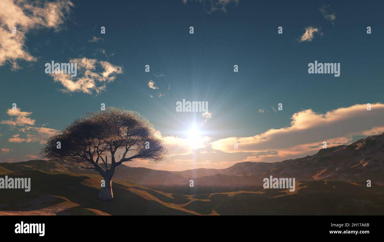 sunset at meadow and lonely tree, 3d render illustration Stock Photo ...