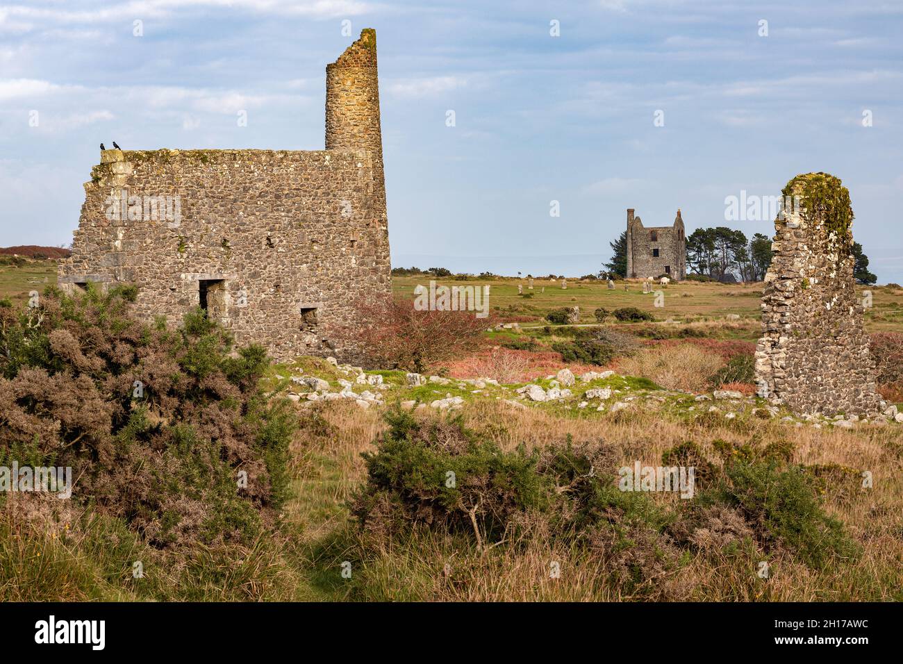 Silver Valley Mine the Heritage centre and the hurlers at Minions ...