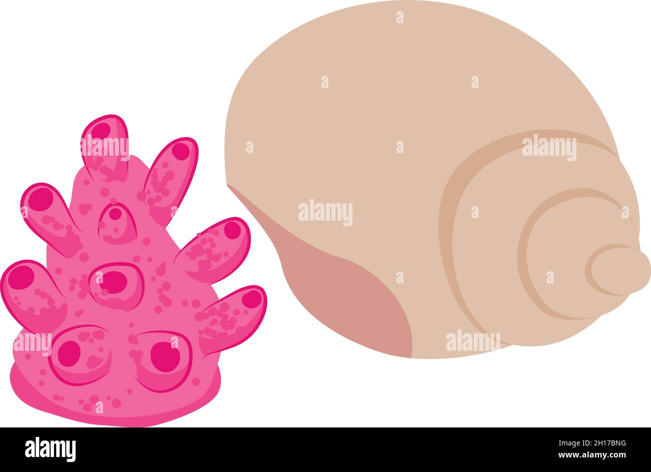 Underwater flora icon isometric vector. Hard mushroom coral and spiral ...
