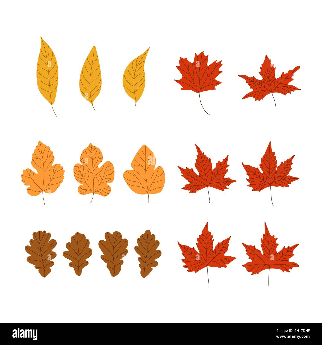 Set of flat leaves. Vector illustration of design elements for greeting ...