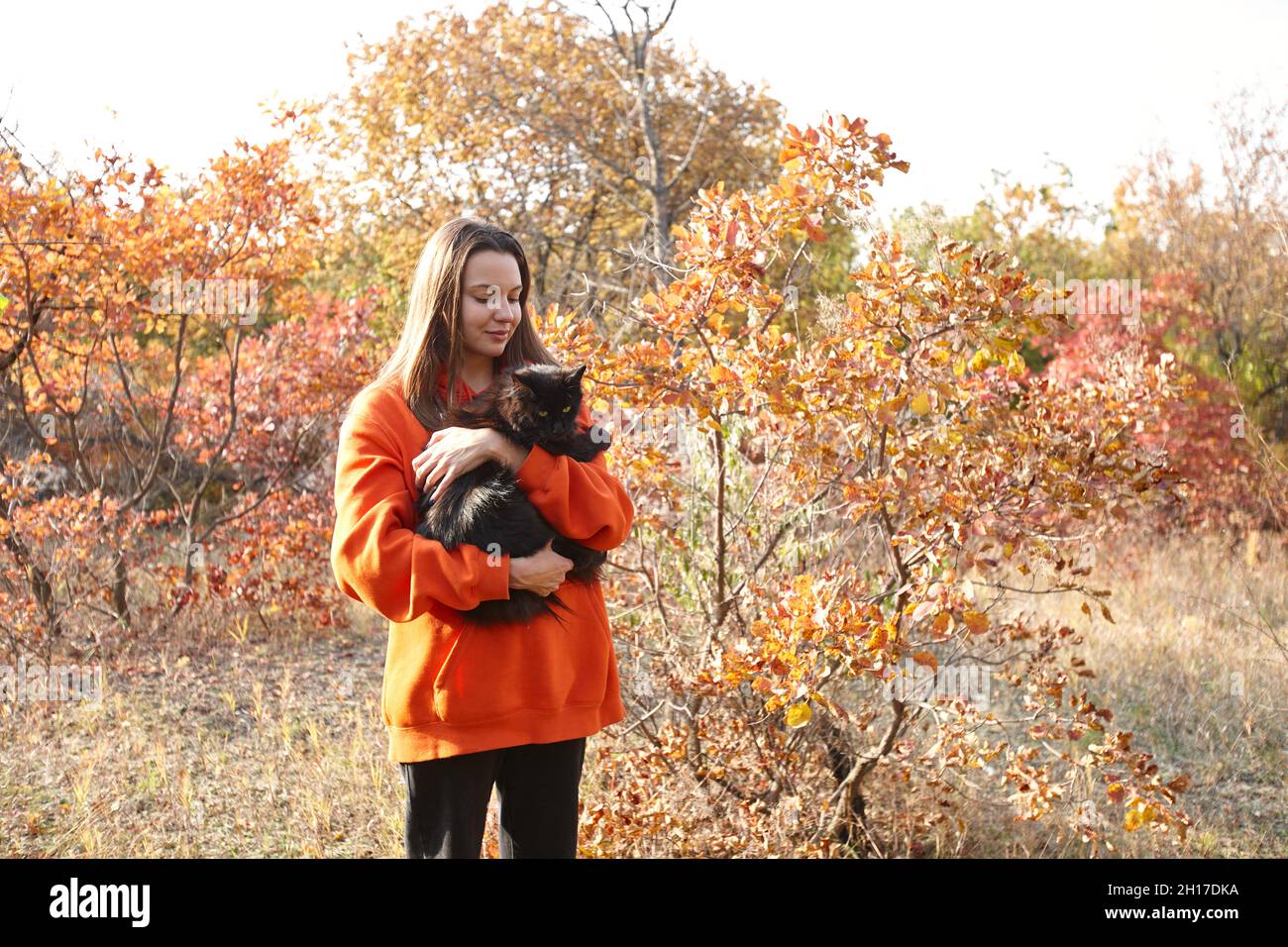 Young black woman with cat hi-res stock photography and images - Alamy