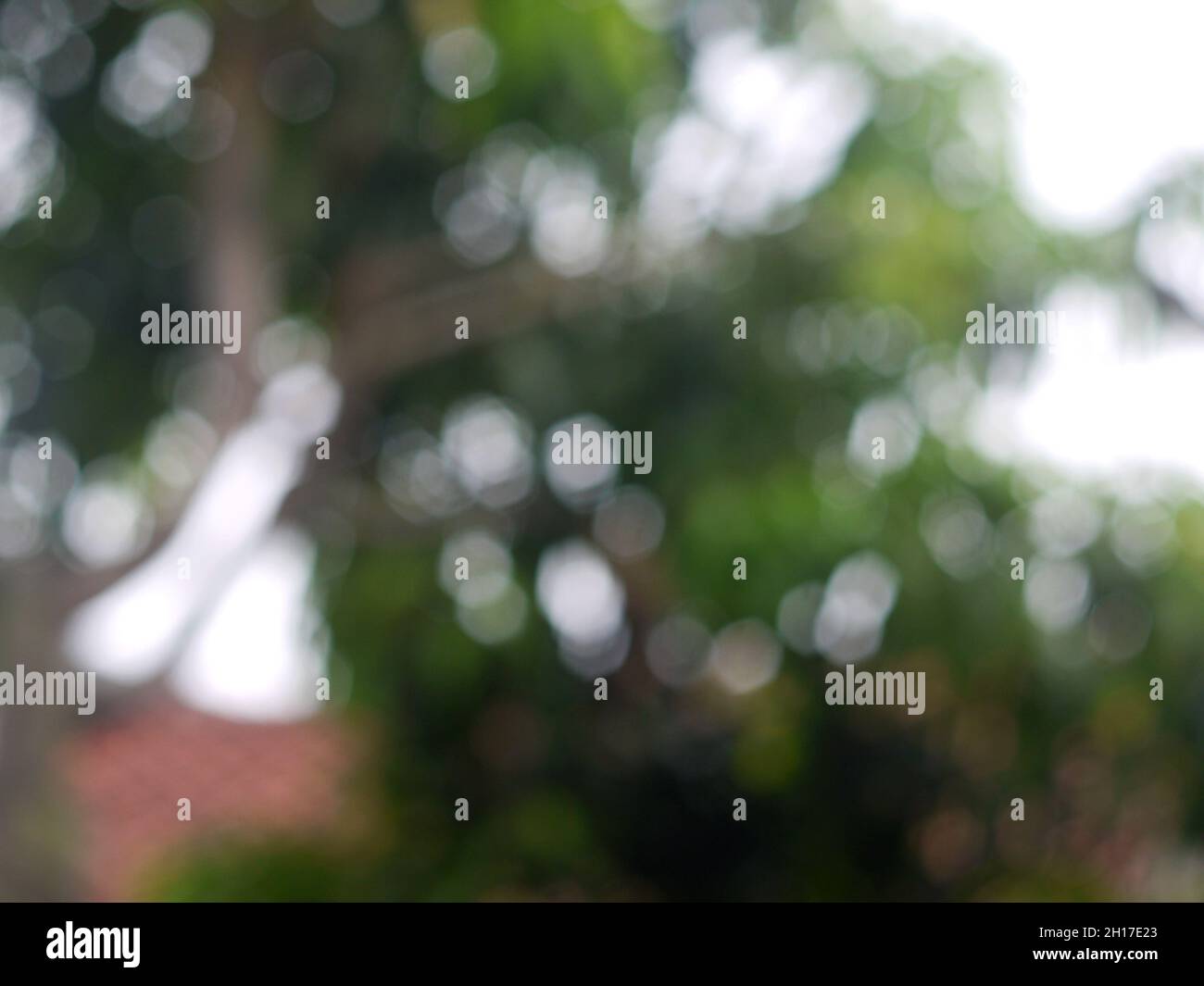 Documentary background hi-res stock photography and images - Alamy