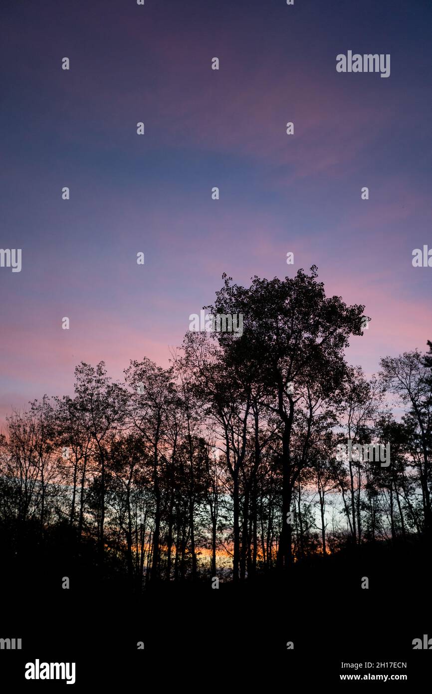 Sunrise behind trees Stock Photo - Alamy