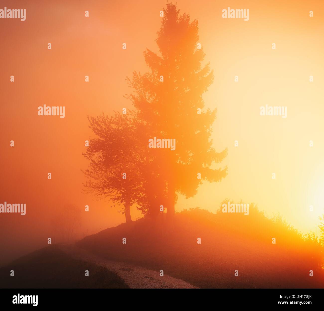 Beautiful autumn landscape Stock Photo - Alamy