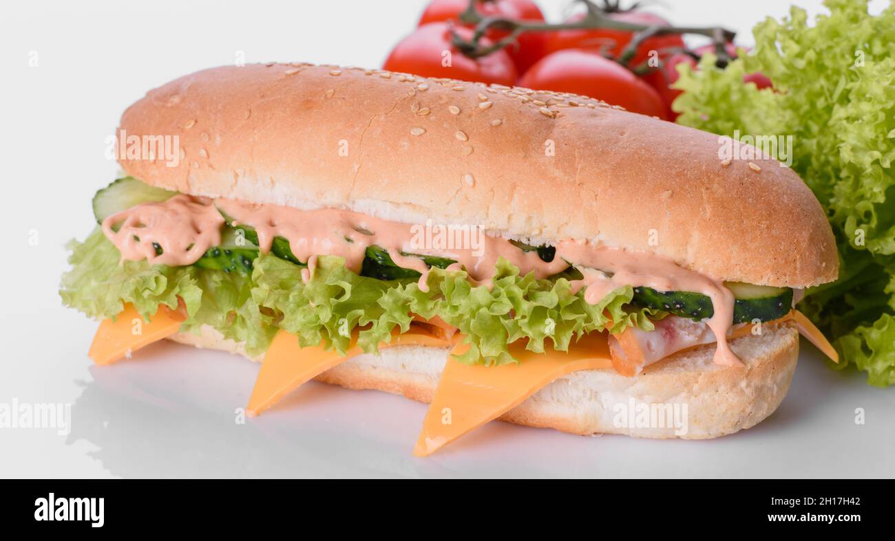 Delicious fresh sandwich grill with a bun, cheese and meat. Unhealthy ...