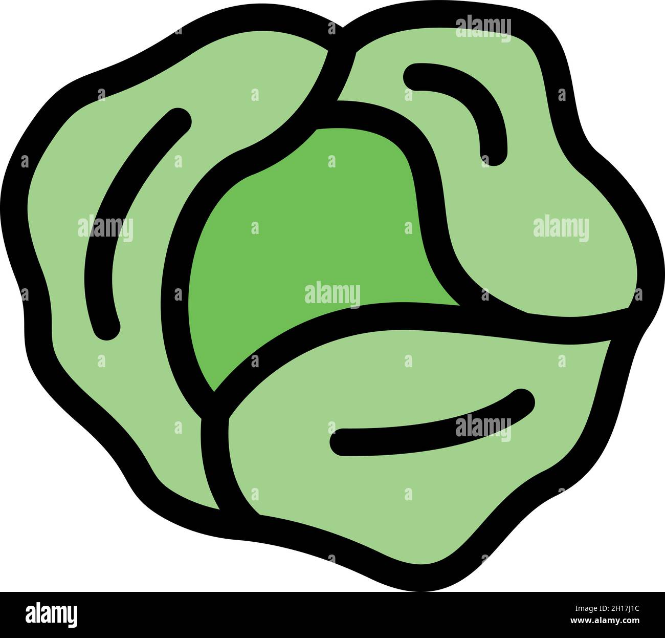 Raw cabbage icon. Outline raw cabbage vector icon color flat isolated ...