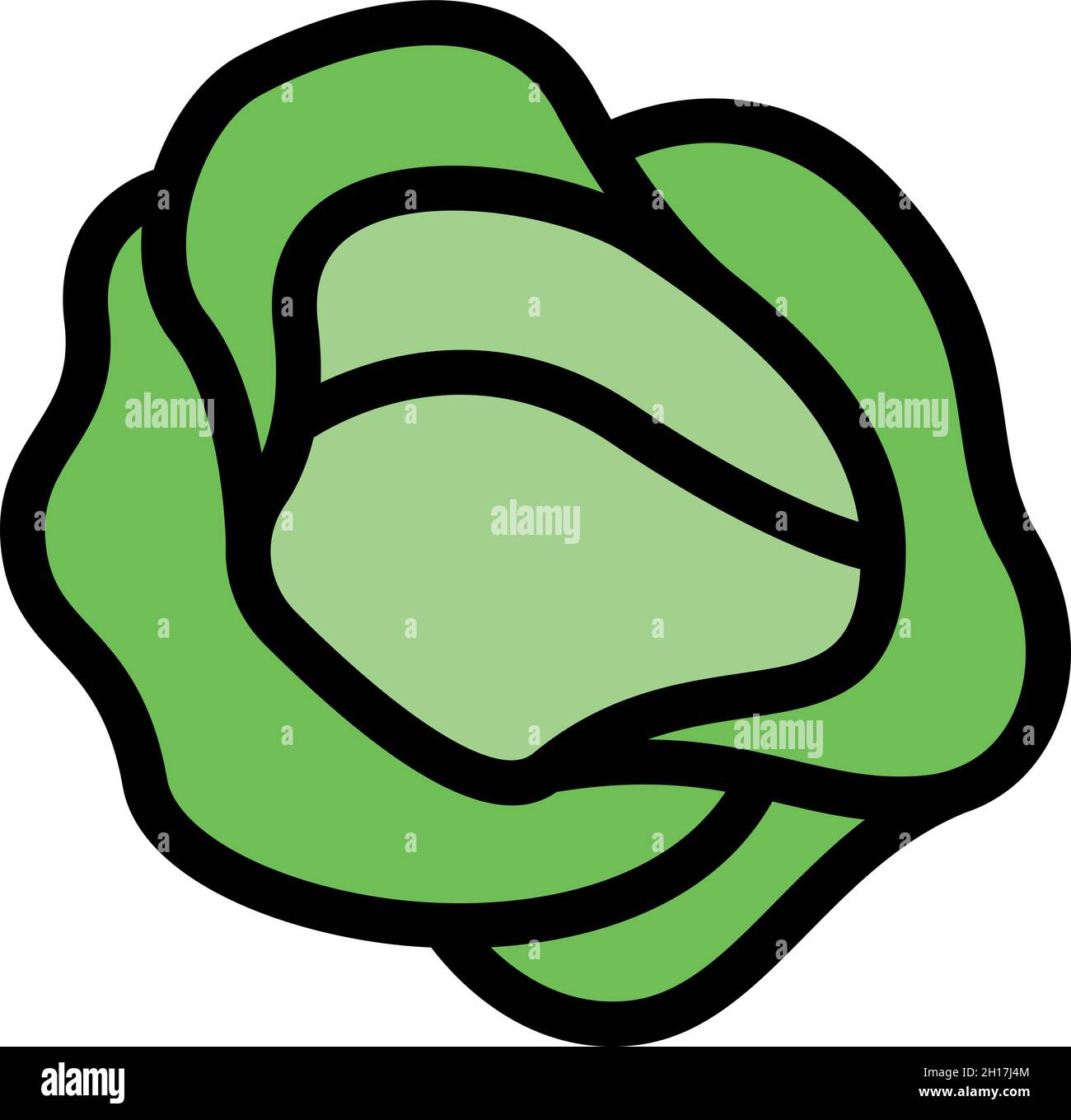 Farm cabbage icon. Outline farm cabbage vector icon color flat isolated ...