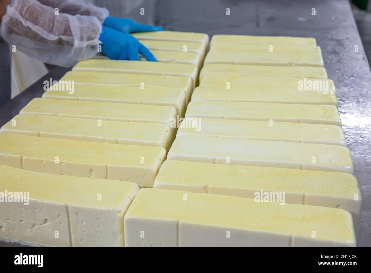 Worker taking fresh cheese from mould at modern factory, closeup ...