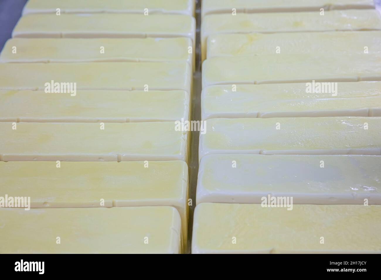 Worker taking fresh cheese from mould at modern factory, closeup ...