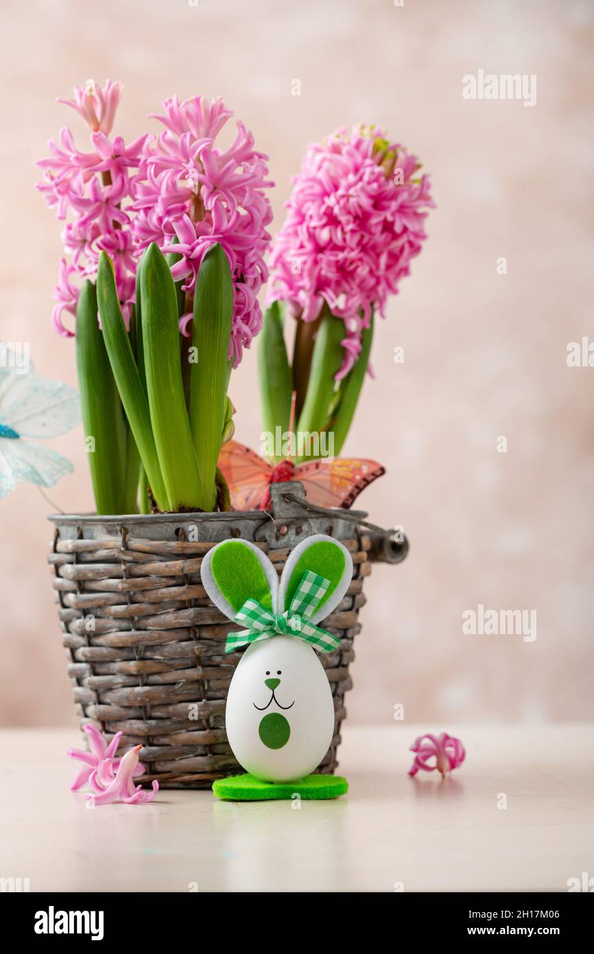 Easter bunny and flowers in pot spring concept Stock Photo - Alamy