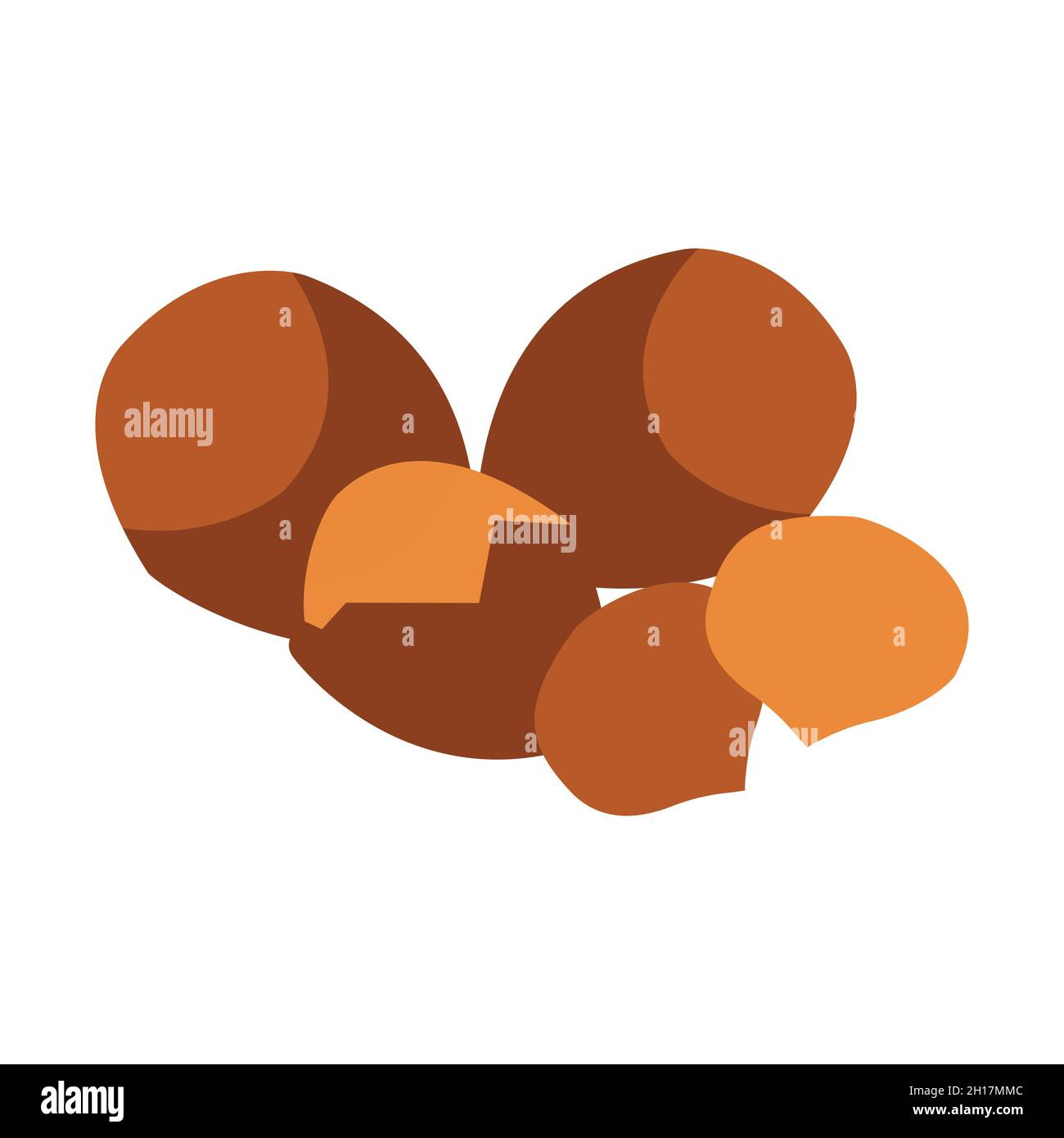 Shea seeds, vector illustration. Simple icon isolated on a white ...