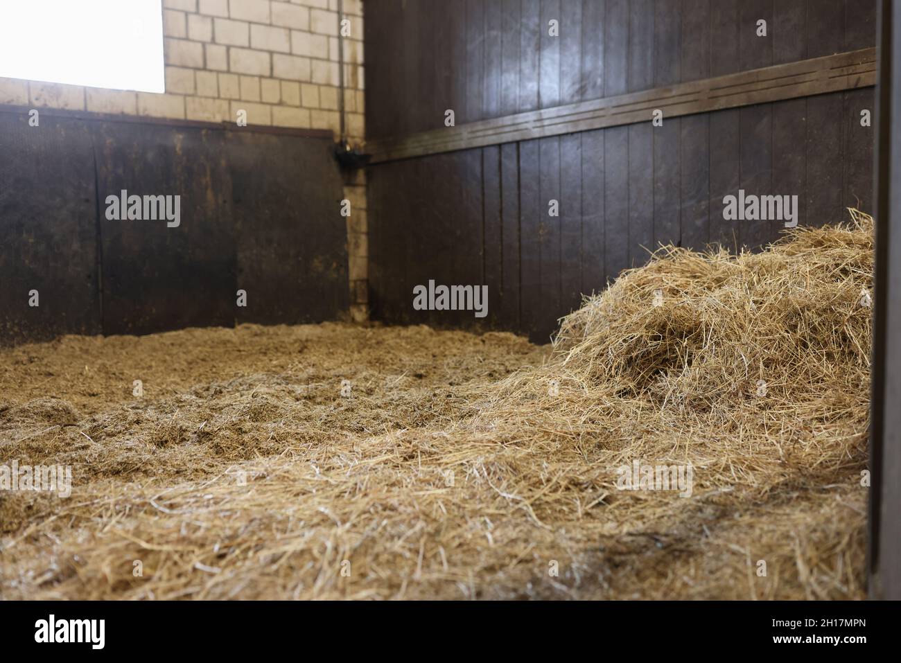 Empty stall in the stable with hay closeup Stock Photo - Alamy
