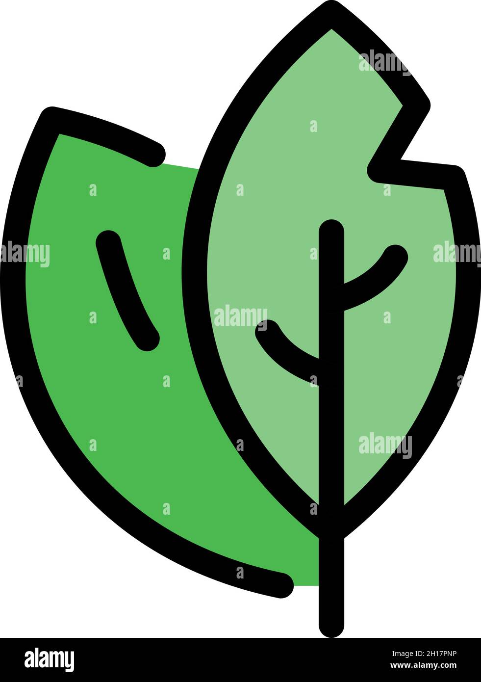 Bay leaf icon. Outline bay leaf vector icon color flat isolated Stock ...